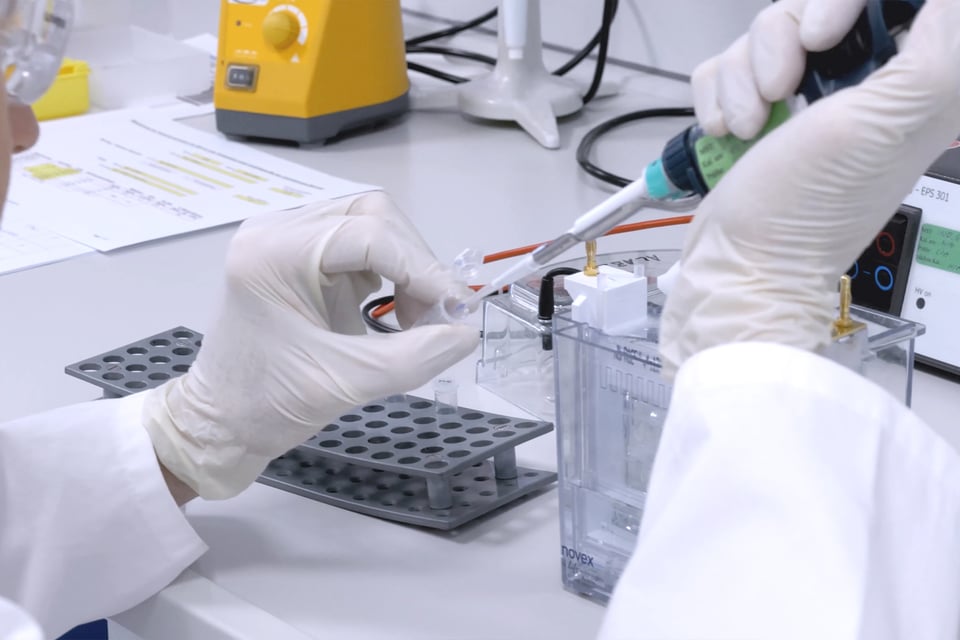 Plasmid DNA (pDNA) Production & Manufacturing (cGMP) | AGC Biologics