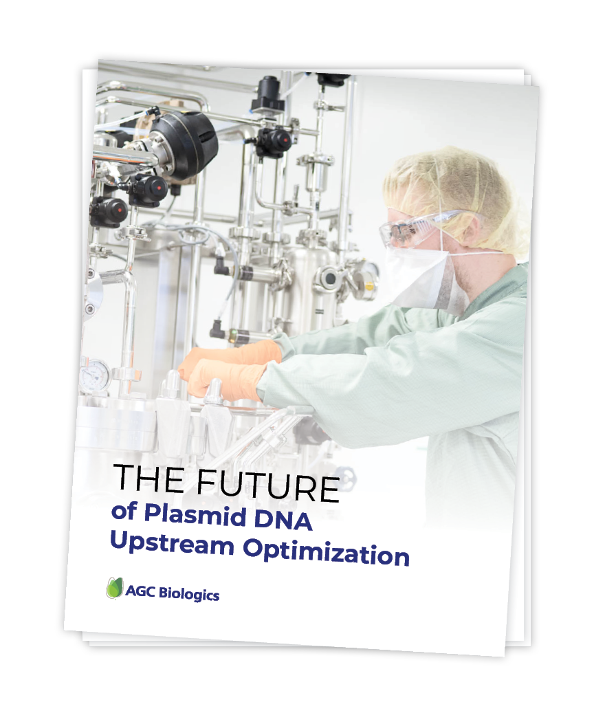 plasmid DNA (pDNA) upstream optimization | pDNA manufacturing services
