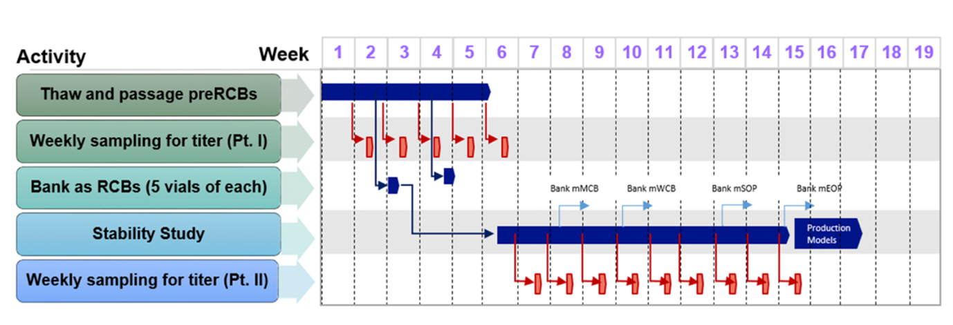 Early Stability Evaluations Shorten Cell Line Development Timelines