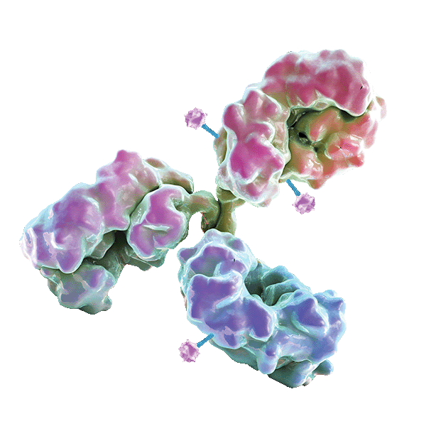 Antibody Drug Conjugates (ADC) Manufacturing & Development Partnership