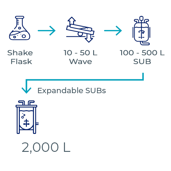 Mammalian Manufacturing | Cell Culture Development | Biopharmaceutical
