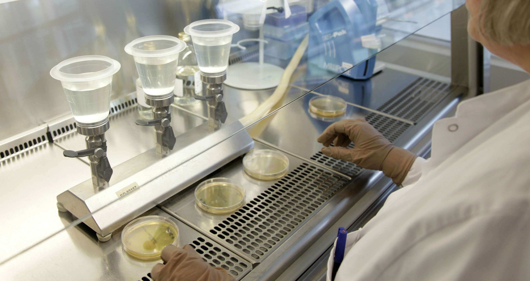 Process Validation: Quality Control & Clinical Supply | AGC Biologics