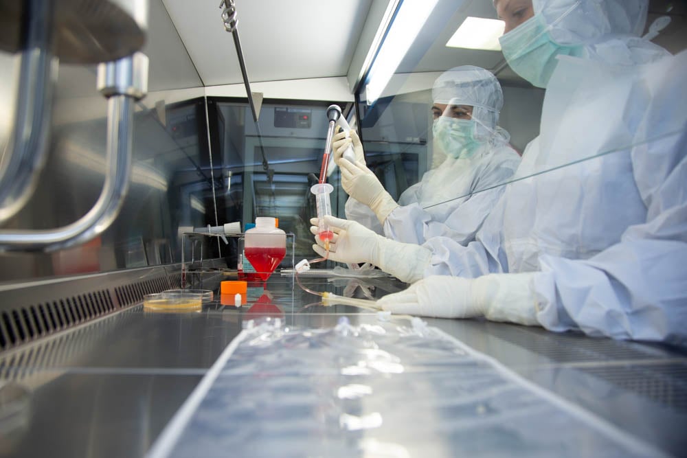 Cell Therapy Development and Manufacturing Services | AGC Biologics