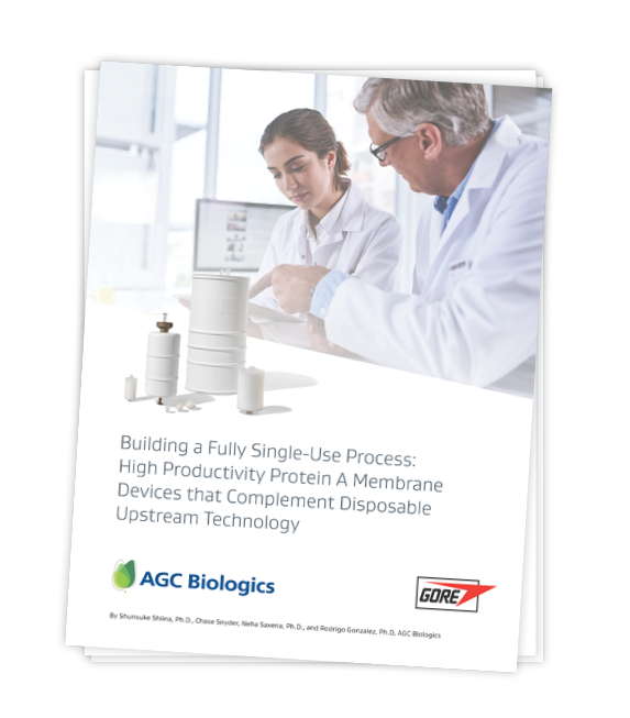 Single-use antibody purification protein A capture resin column study