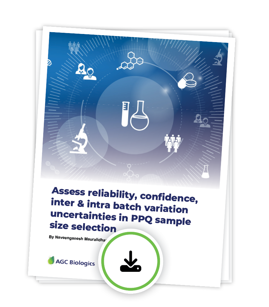 PPQ Assessment of Sample Size Selection within Process Validation