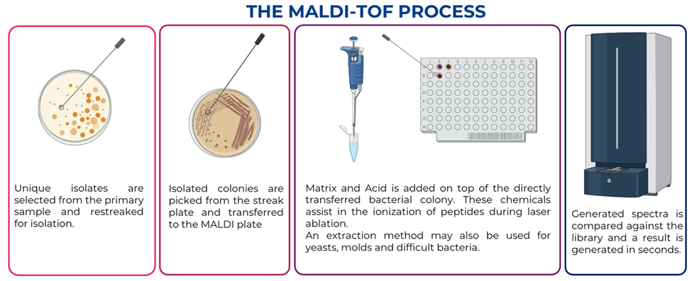 Optimizing Contamination Identification in drug development