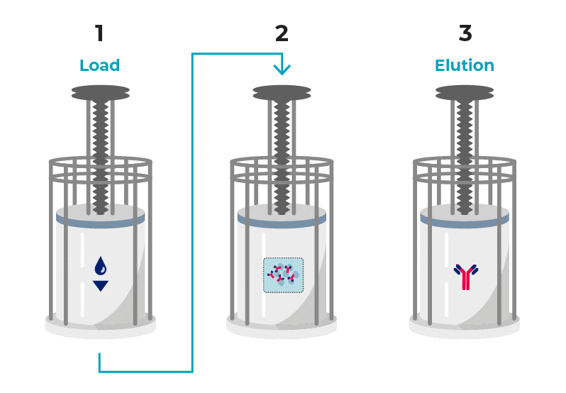 Antibody Capture with Multi-Column Chromatography Case Study
