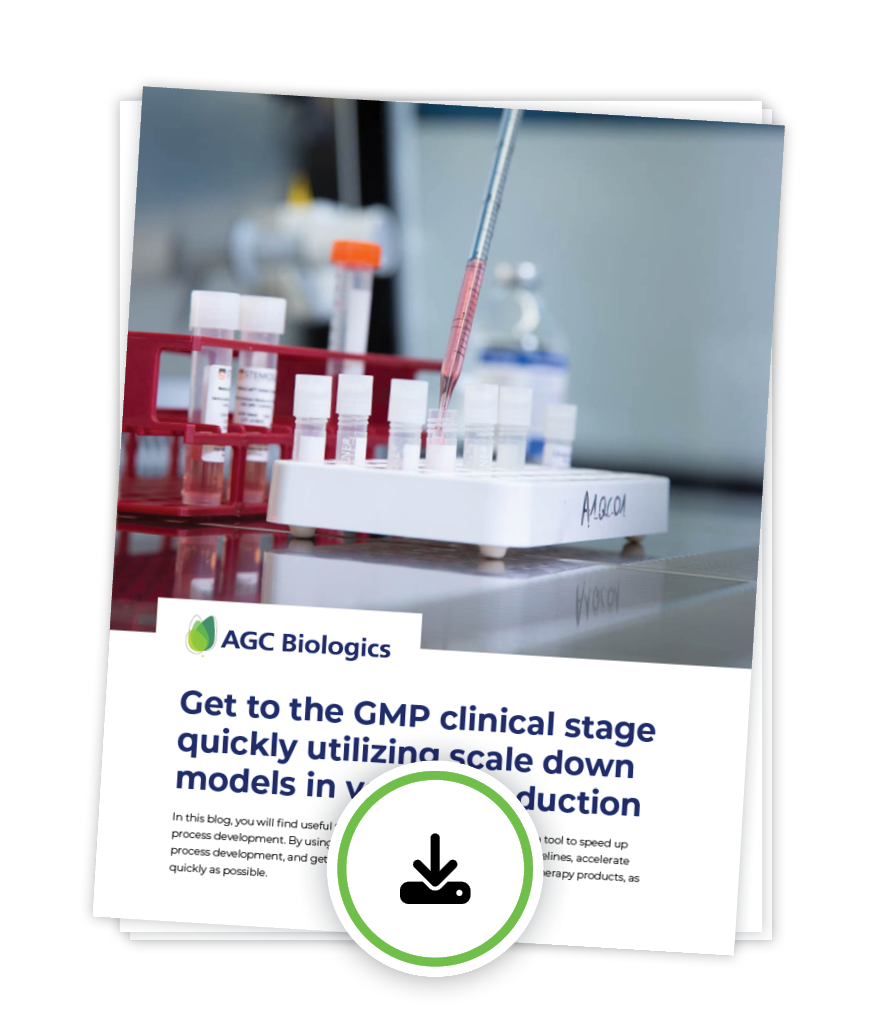 Scale Down Models | Viral Vector Production | CDMO Manufacturing
